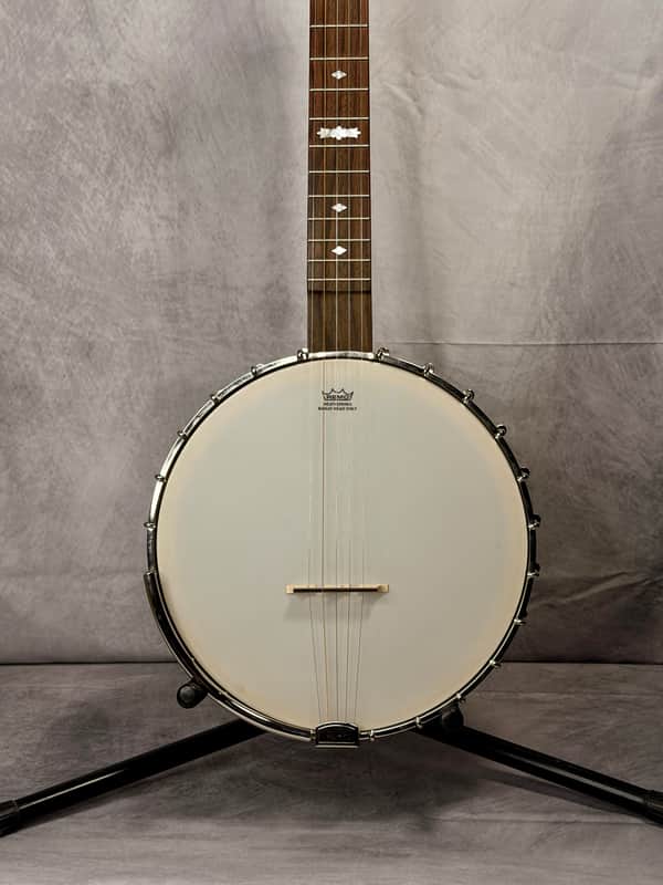 Gretsch Special Edition Banjo | Reverb