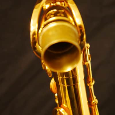 Antigua ProOne Tenor Neck from Peter Ponzol | Reverb