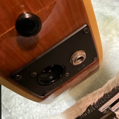 washburn festival series EA26 Craig Chaquico thin body | Reverb Canada