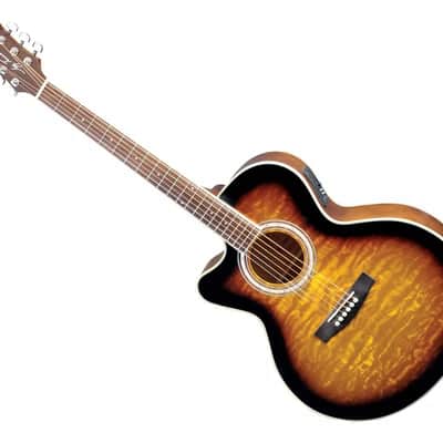 Jay Turser JTA-424QCET-LH-TSB Auditorium Cutaway Mahogany | Reverb