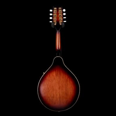 Used Fender FM-53S Mandolin Sunburst With Gig Bag | Reverb