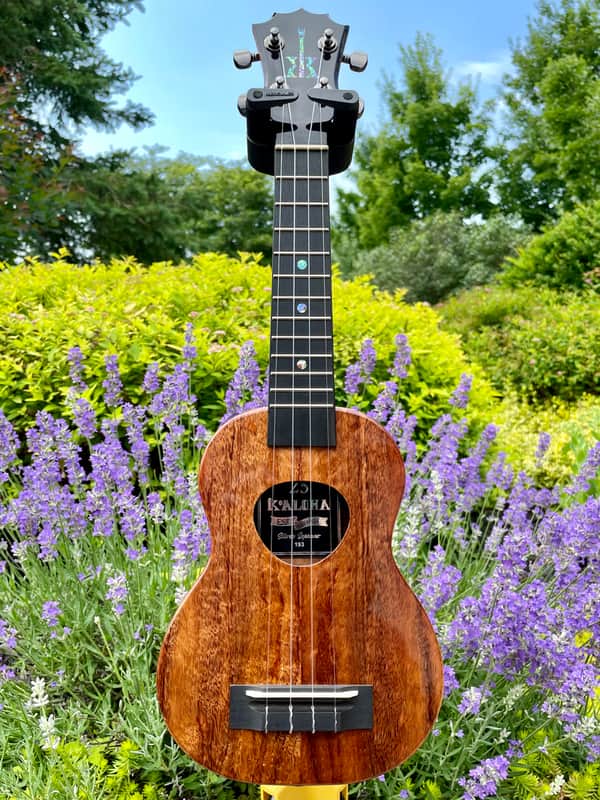 RARE - KoAloha 25th Silver Anniversary Soprano Ukulele | Reverb Canada