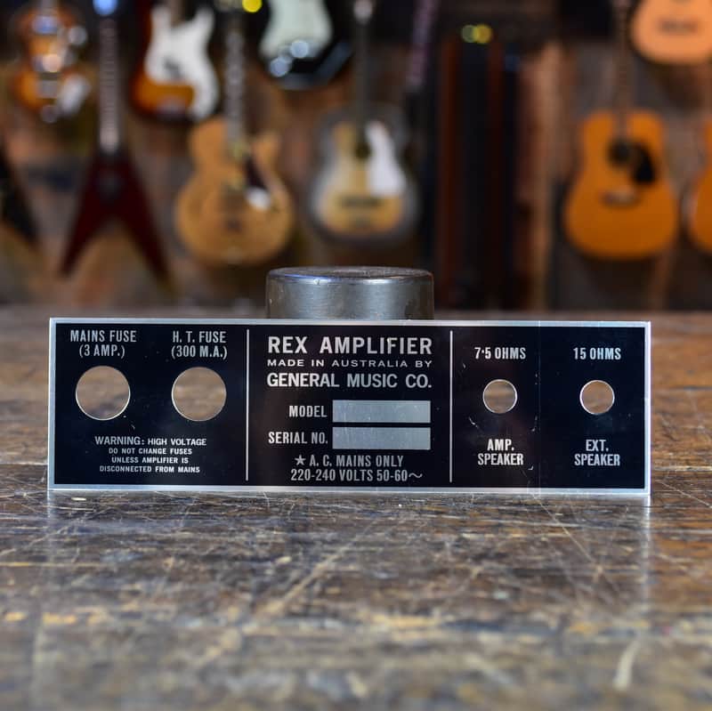 Rex Amplifier Backplate 70's | Reverb