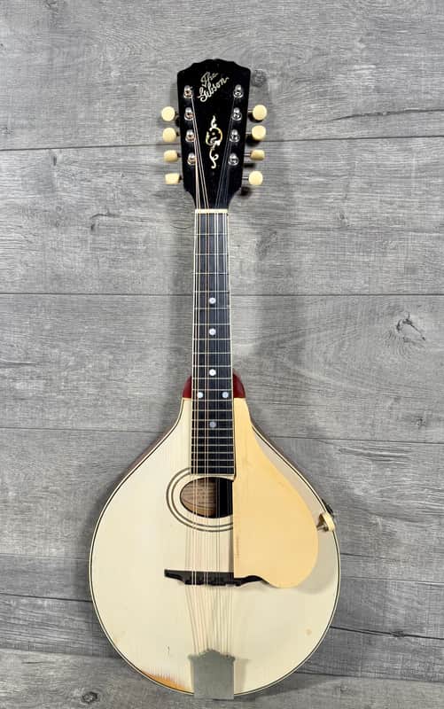 Gibson A-3 Mandolin 1919 - Ivory Top | Reverb