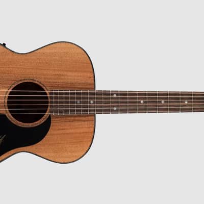 Maton EBW808 - Electric/Acoustic Blackwood (IN STOCK !) | Reverb