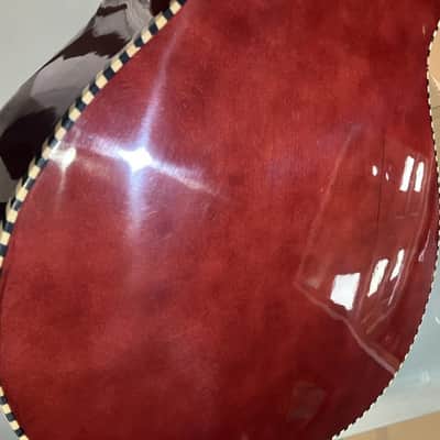 Alvarado Bajo Quinto 10 String Guitar w/ Gig Bag | Reverb