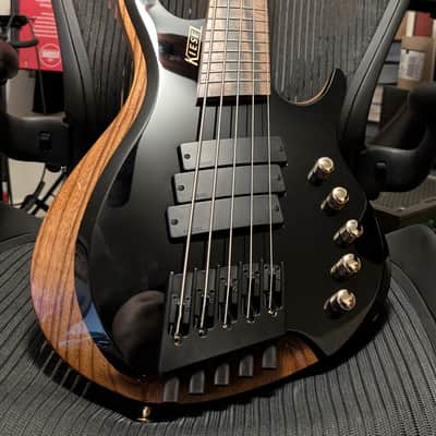 Kiesel O2 Multi-scale 5-string Bass - 2025 GREAT PRICE! | Reverb