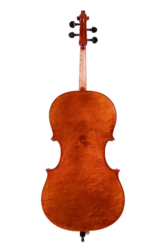 One Piece Back Guarneri Cello 4/4 – Hand-Made in Romania 2025 | Reverb