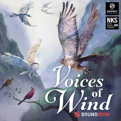 Voices of Wind Collection (Download) Six stunning vocalists, | Reverb