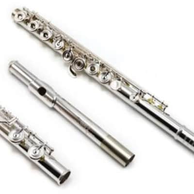 Haynes Amadeus AF482-CO Open Hole Student Model Flute | Reverb