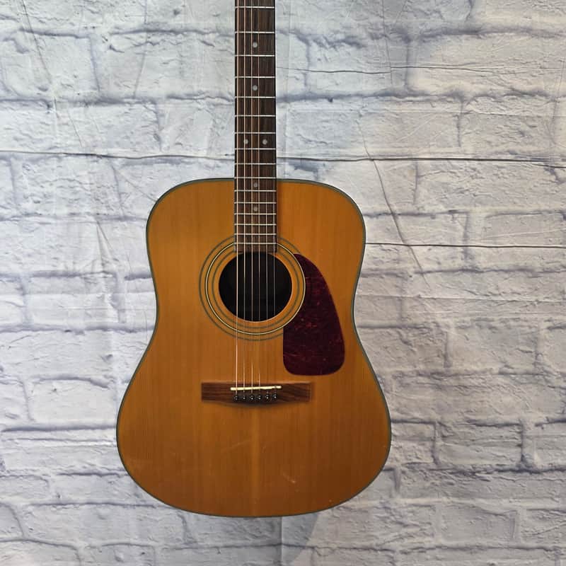 Fender Dreadnaught DG20s Nat Acoustic Guitar | Reverb