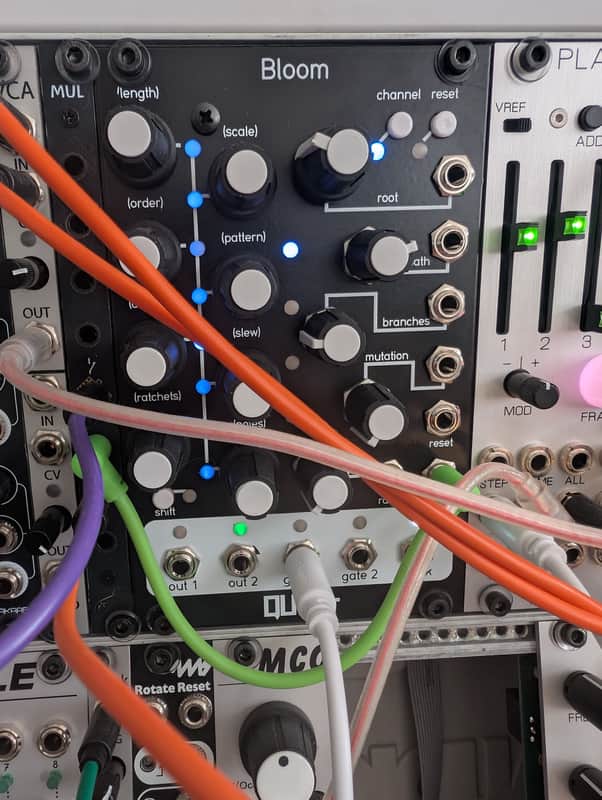 Qu-Bit Electronix Bloom 2019 - Present Black | Reverb