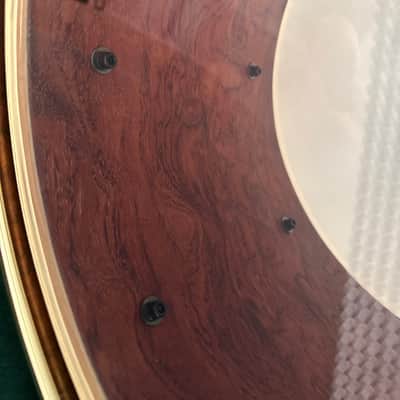 Slingshot Waterfall Birch Bubinga 2023 - Waterfall Bubinga | Reverb