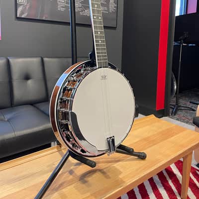 Washburn B11K-A 5-String Resonator Banjo–Brand New w/ Case | Reverb
