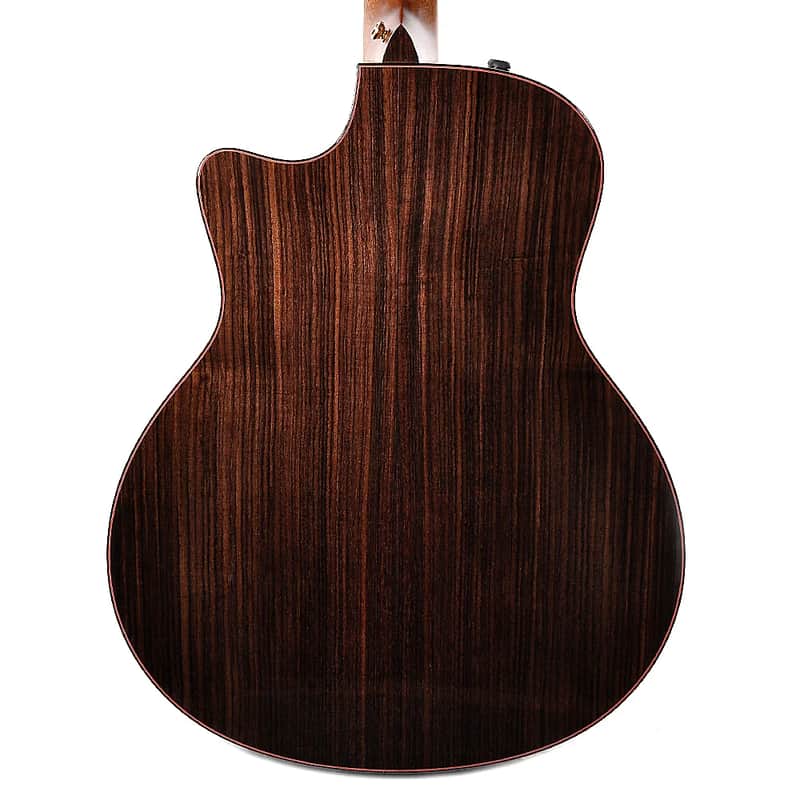 Taylor 916ce with ES1 Electronics | Reverb
