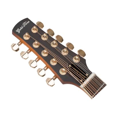 Gold Tone Mastertone F10 10-String F-Style Mandolin - Open | Reverb