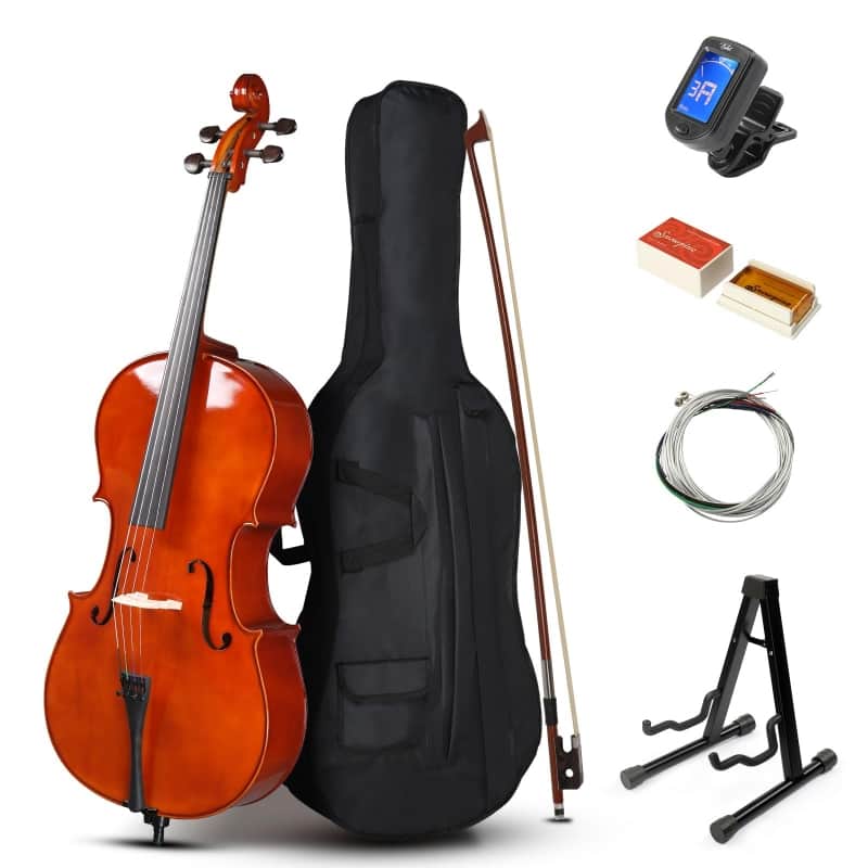 Glarry 4/4 Solid Wood Acoustic Cello with Stand - Varnish | Reverb