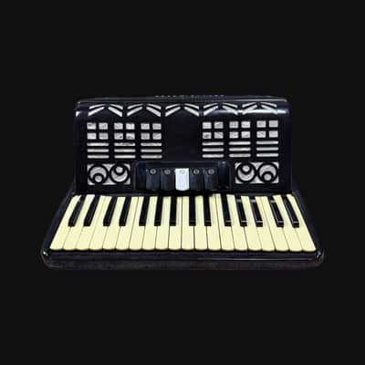 Stephanelli By Clinkscale 72 Bass Accordion in Black | Reverb UK