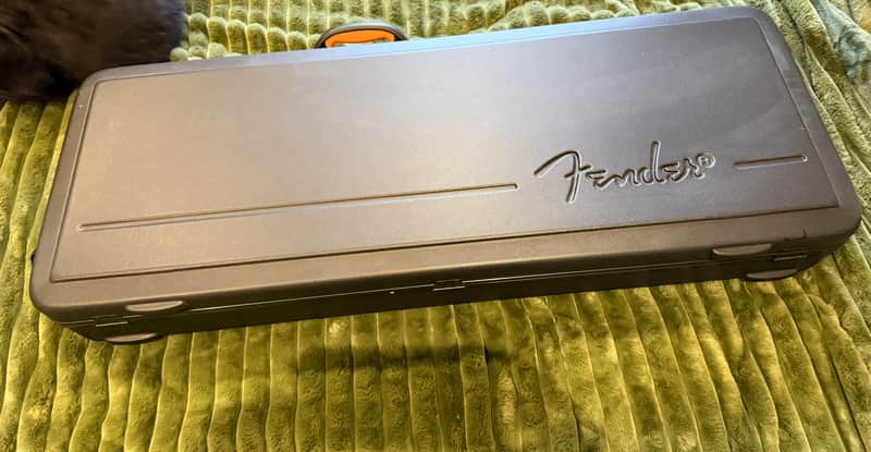 Fender Flight Case 2025 - Black | Reverb