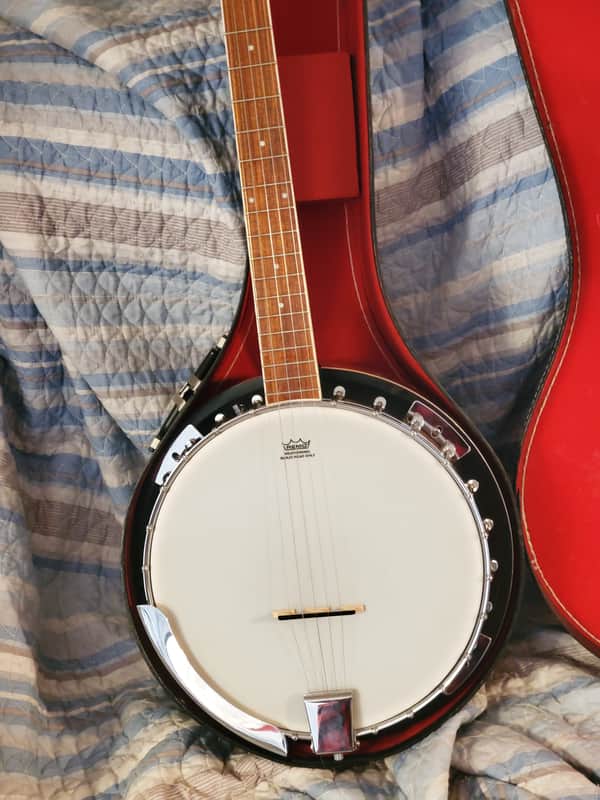 ADM 5-string banjo, recent model, natural wood tones: the | Reverb