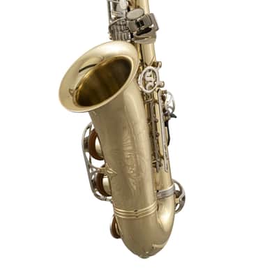 Selmer SAS301 Student Premium Alto Saxophone 2021 - Present - | Reverb