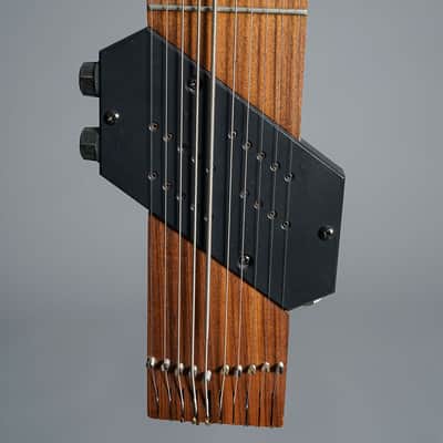 Stick Enterprises 10-String Chapman Stick + Hardcase and | Reverb