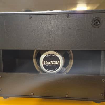 Bad Cat Black Cat 20W Head + Matching 1x12 Cabinet with | Reverb