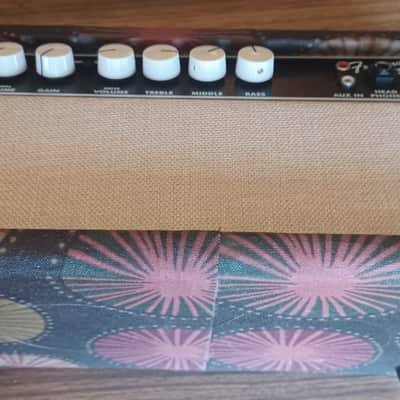 Custom Mini Head Amp (Fender Frontman 15G) | Reverb