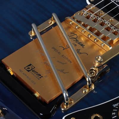 Burns Dream - Trans Blue - 2nd Hand | Reverb