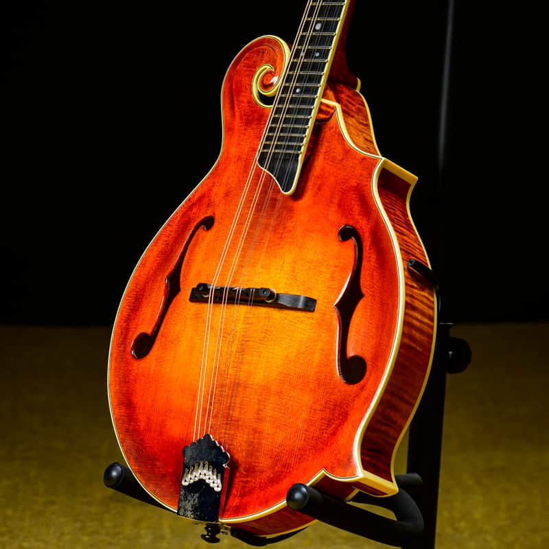 Larry Muth NFP-F3 2006 | Reverb