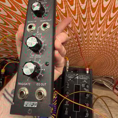 FSFX Free State FX FSFX113 113 5U Dotcom MU Fritz All In EG | Reverb