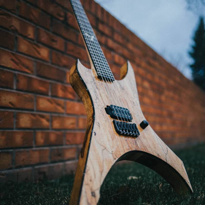 Victum Guitars Typus 2021 Custom Spalted | Reverb
