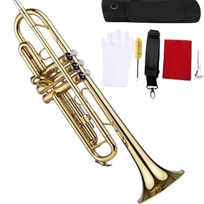 Trumpet Bb B Flat Brass Trompetas Instrumento with Mouthpiece | Reverb