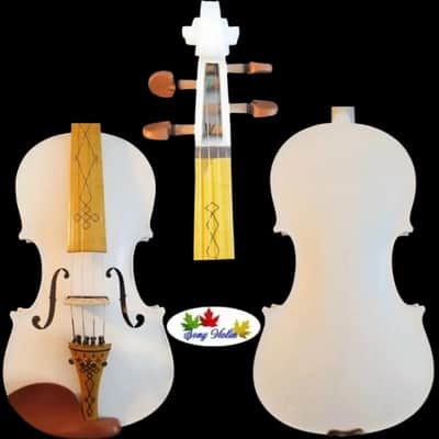 White best craft 4/4 electric violin +Acoustic violin,w/case | Reverb