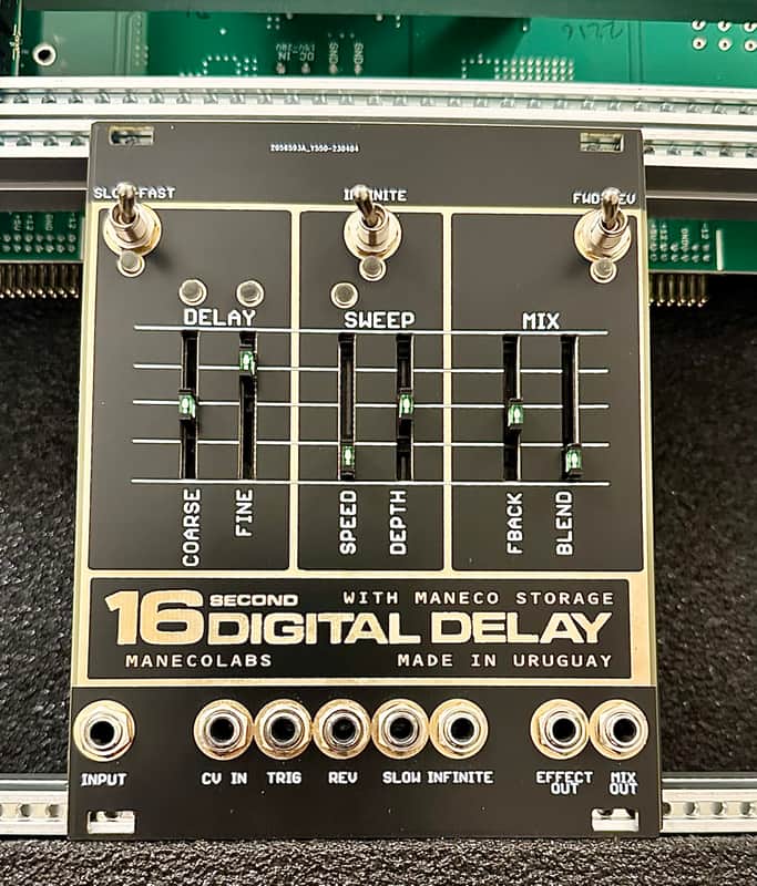 Maneco Labs Sixteen Seconds Delay Looping Delay (Eurorack) | Reverb