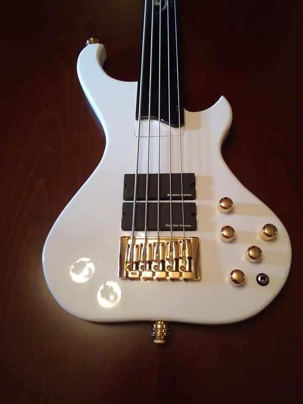 Thodoris Rammos Custom 5-String Fretless 2020 - High-Gloss | Reverb