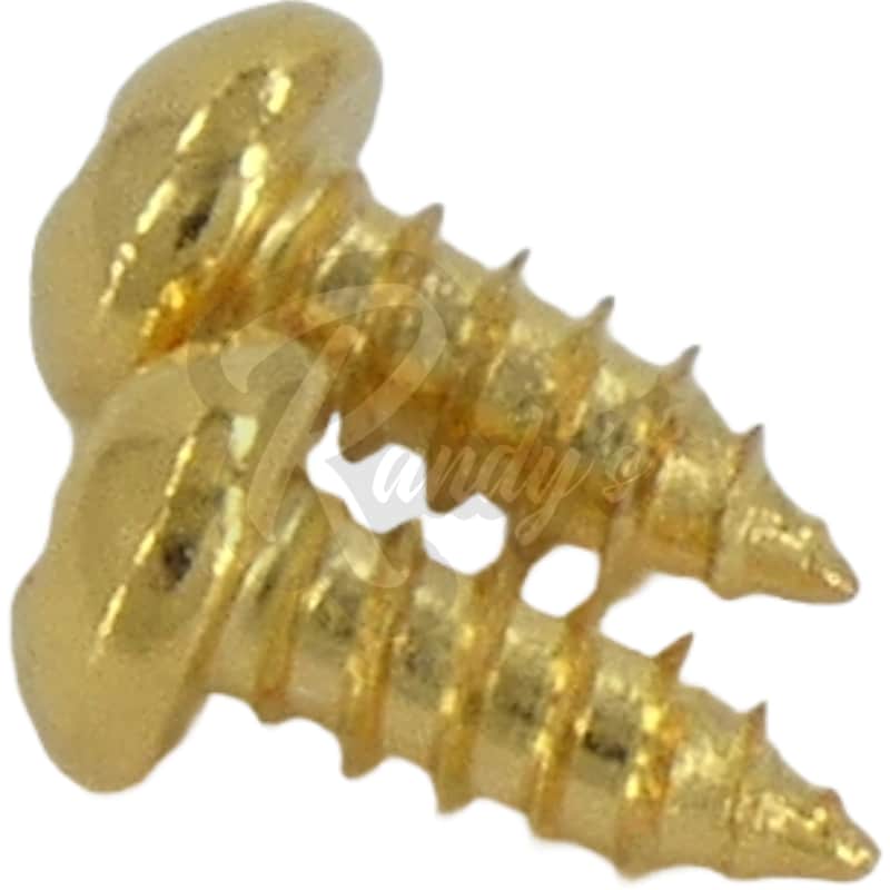 Advanced Plating 1824G Truss Rod Cover Mounting Screws - Fits | Reverb
