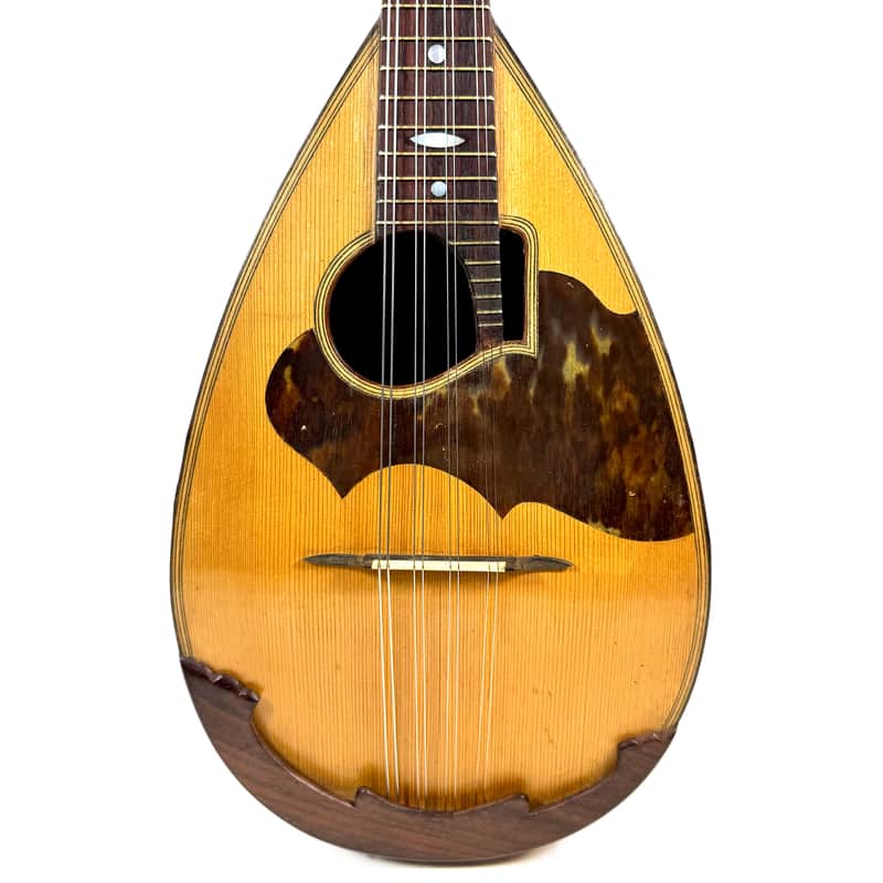 Concert Mandolin G. Kasermann (Carlo Sartori Label) from 1929 | Reverb