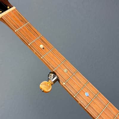 Starr Limited Edition 13" Walnut Neck W/ Maple Rim 5-String | Reverb