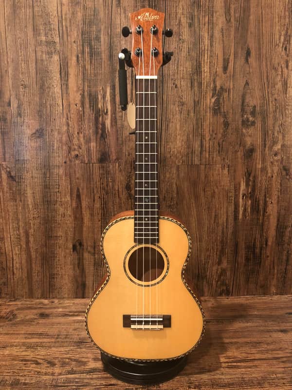Alston UP-410 Tenor Ukulele with Hardshell | Reverb The Netherlands