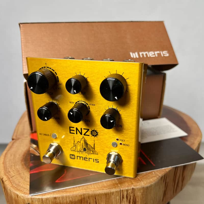 Meris Enzo Synthesizer Pedal | Reverb