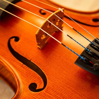 Gliga Vasile 4/4 Size Violin Maestro Extra | Reverb