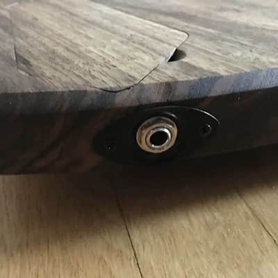 Black Diamond Custom Shop XPro "JACKAL" Prototype Guitar Hand | Reverb