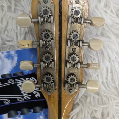 Antique Washington Banjolin / Mando-Banjo / Mandolin-banjo | Reverb