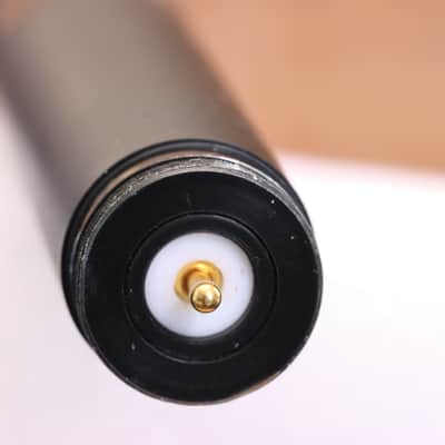 DPA DPA Microphone Preamp Body for 4011 Microphone (Pair) | Reverb