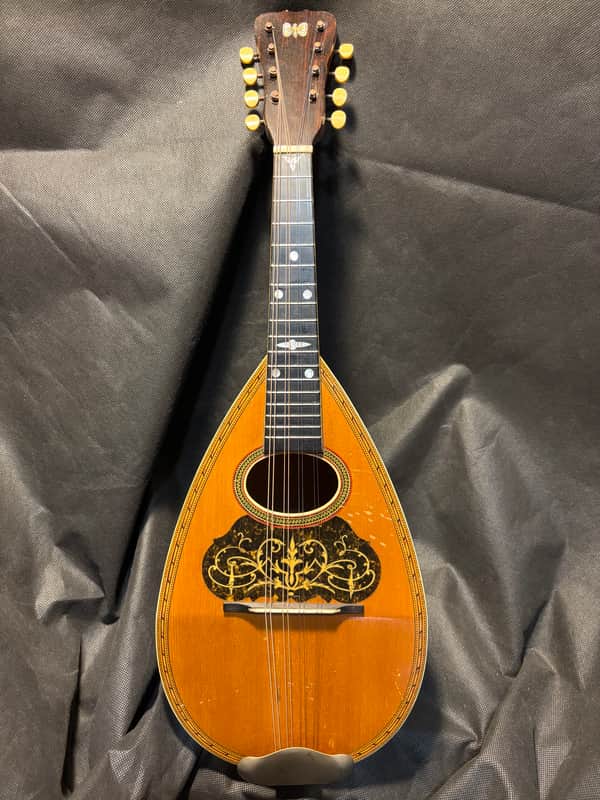 American Conservatory Bowlback Mandolin - Brazilian Rosewood | Reverb