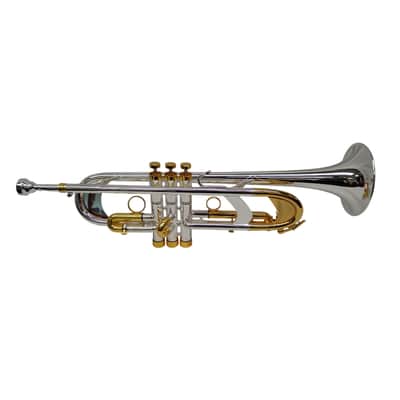 Schiller Elite Frankfurt Custom Silver/Gold Plated Flash | Reverb