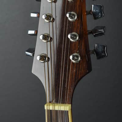 Ibanez M510-BS Mandolin, Recent | Reverb