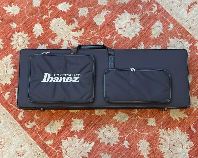 Ibanez Guitar Polyfoam Case for T-Style Electrics | Reverb Deutschland