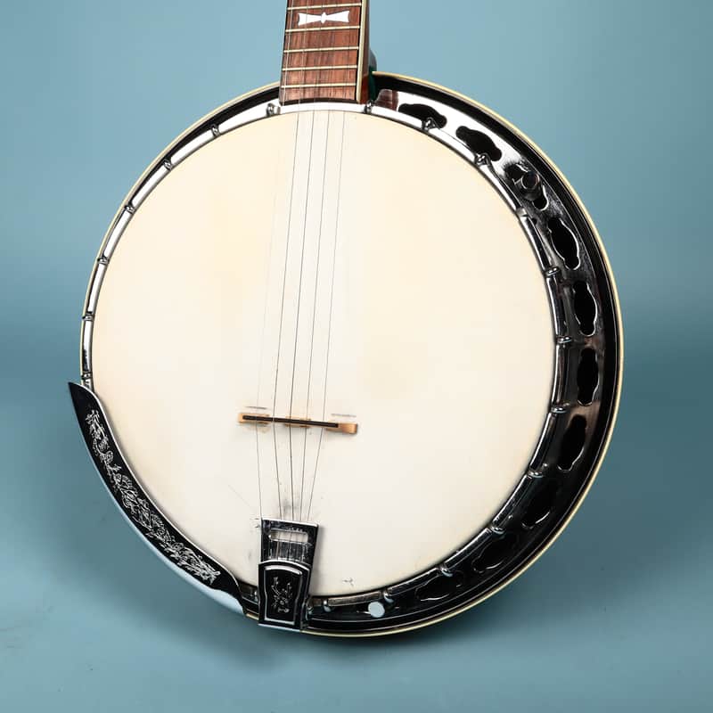 Alvarez Bow Tie Seahorse Deluxe 1970s Banjo - Maple | Reverb